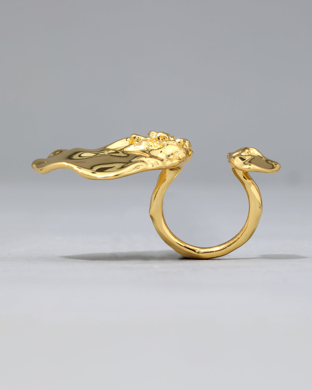 Brut Gold Double Disc Ring | Alexis Bittar
