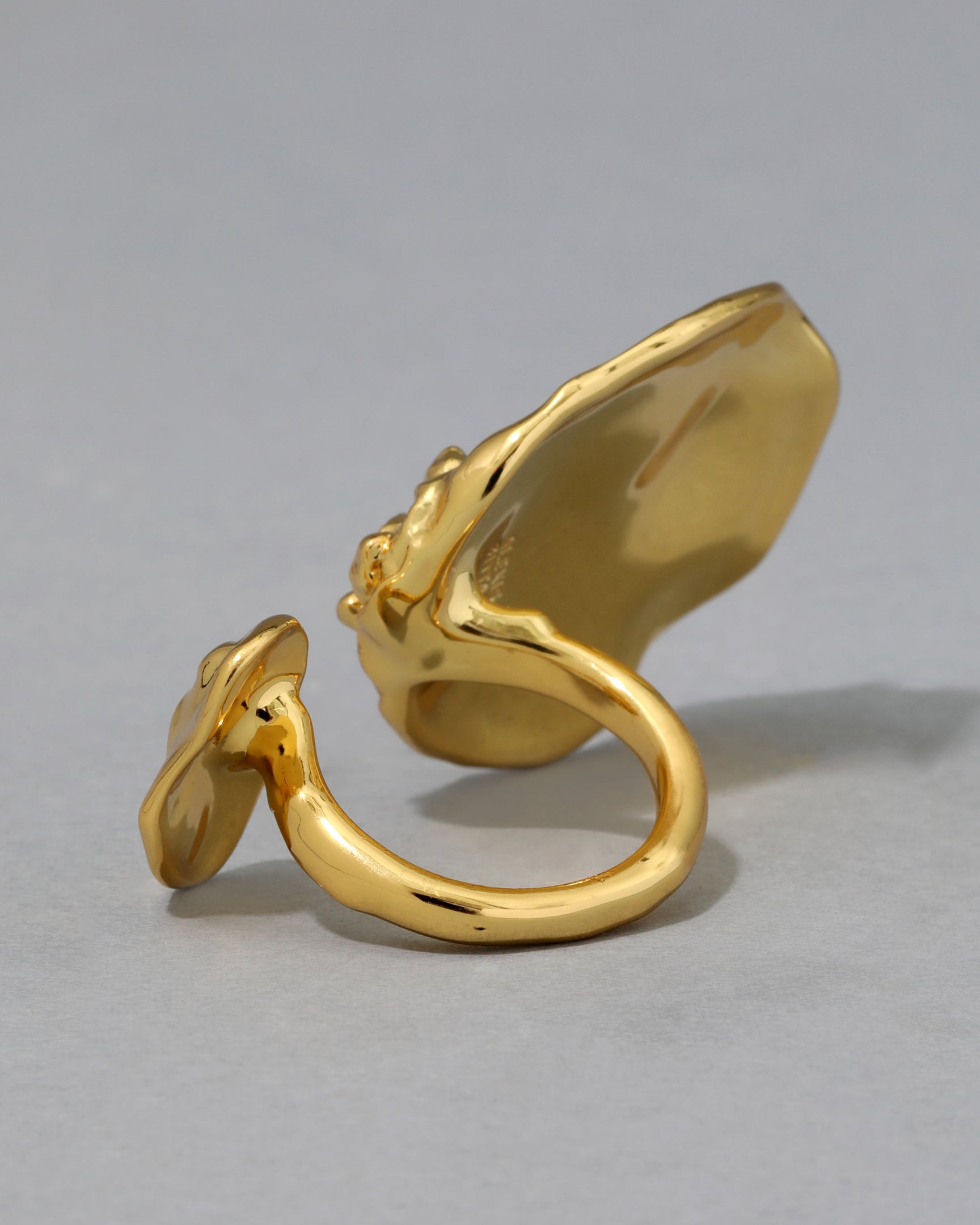 Brut Gold Double Disc Ring | Alexis Bittar