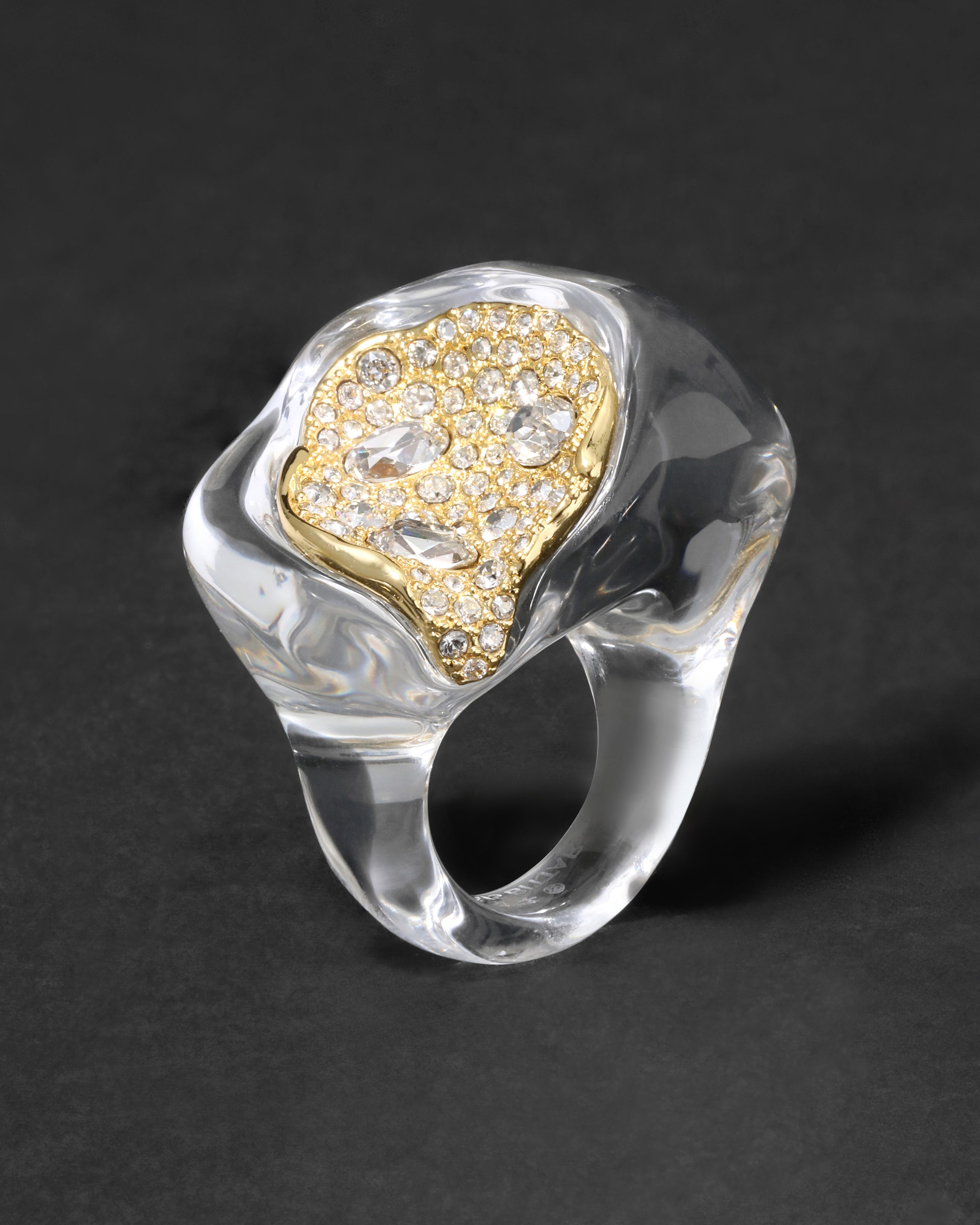 Lucite Jewelry + Lucite Earrings Collection | ALEXIS BITTAR