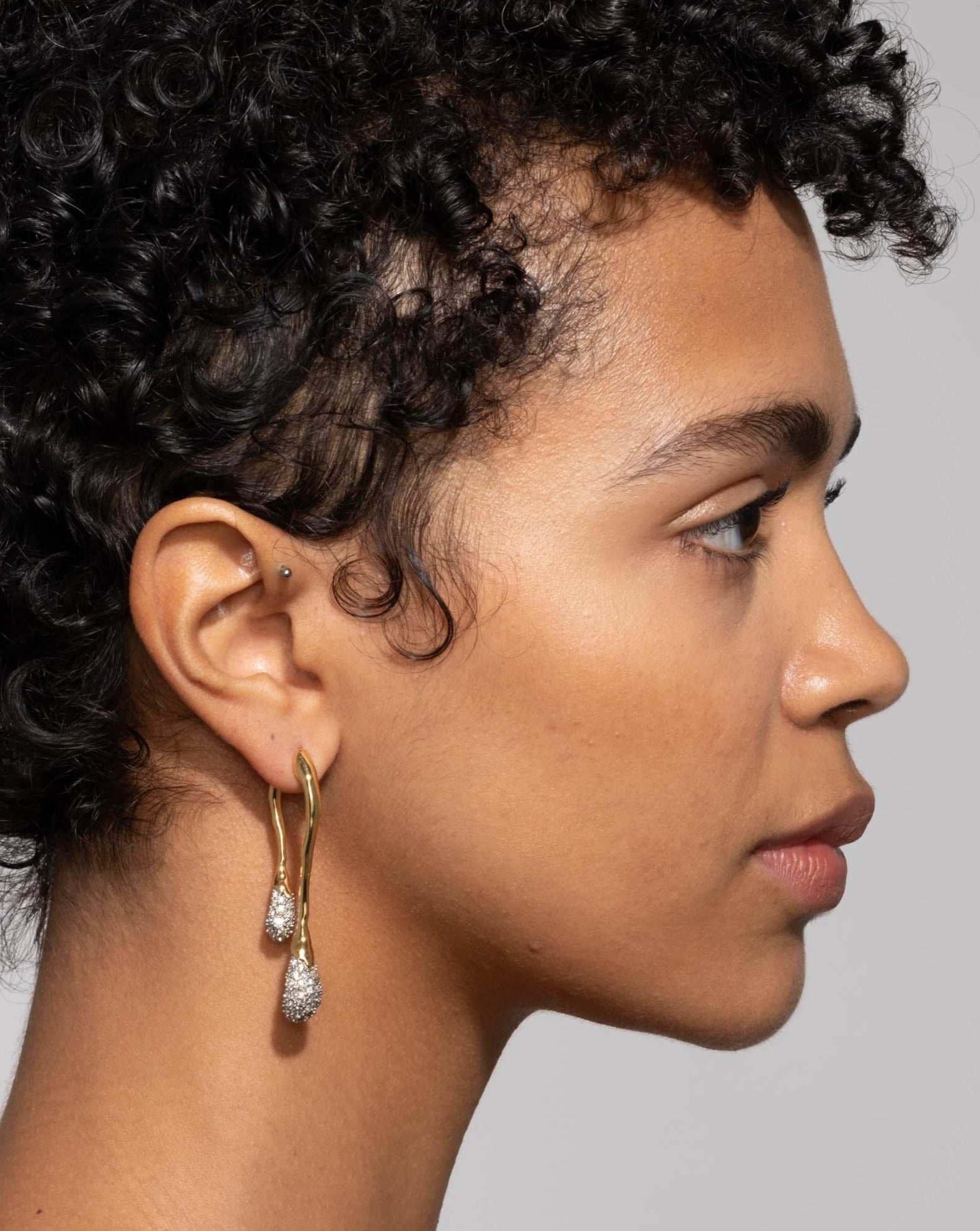 Solanales Crystal Front Back Double Drop Earring- Gold